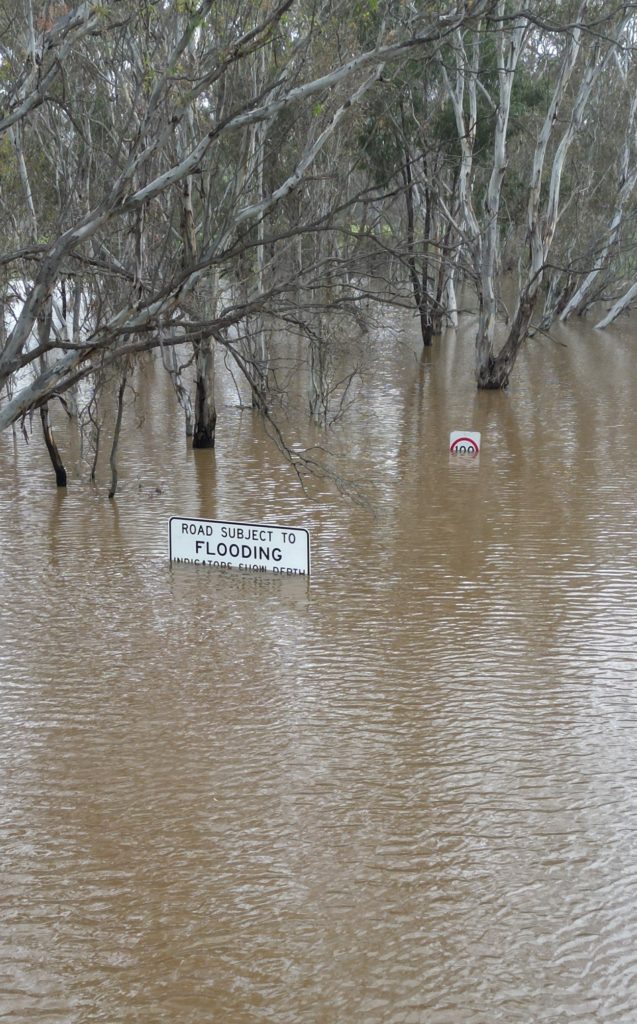 Flood Evaluation - Molino Stewart