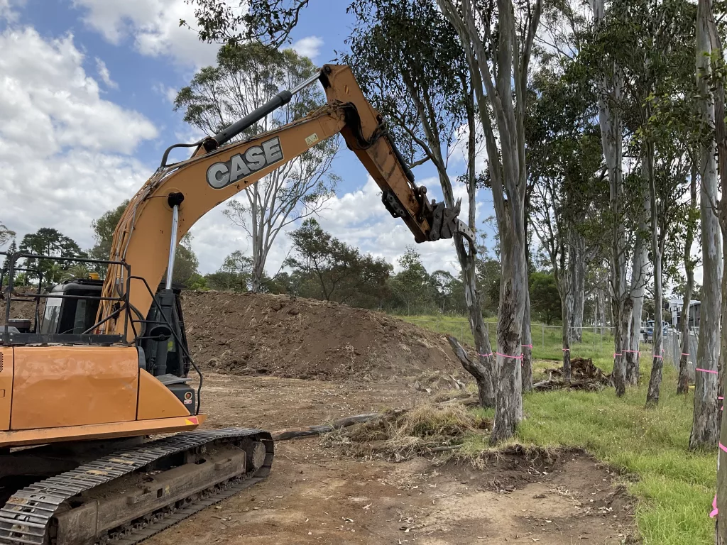 Preclearance Surveys and Supervision - Molino Stewart